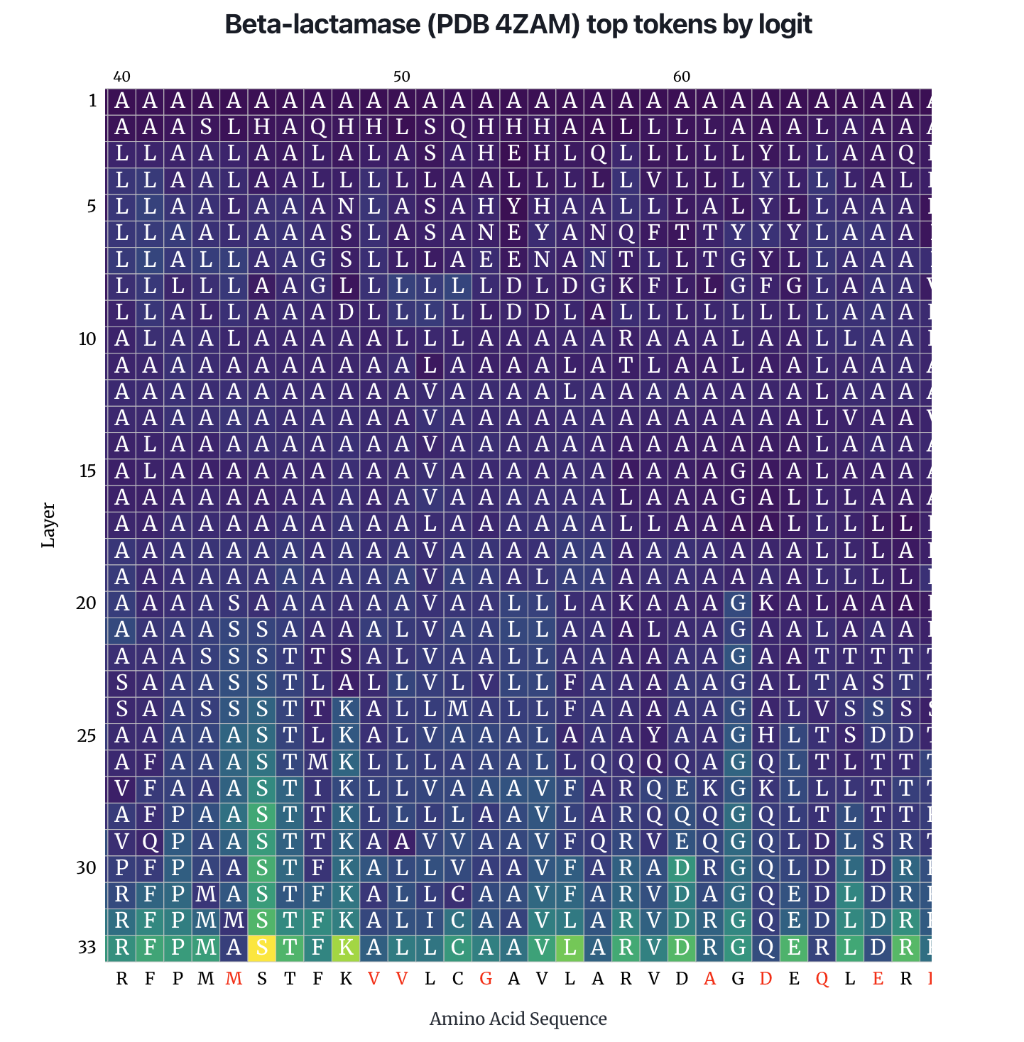 Protein language models through the logit lens | Liam's Blog