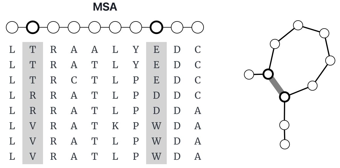 What we can learn from evolving proteins | Liam's Blog