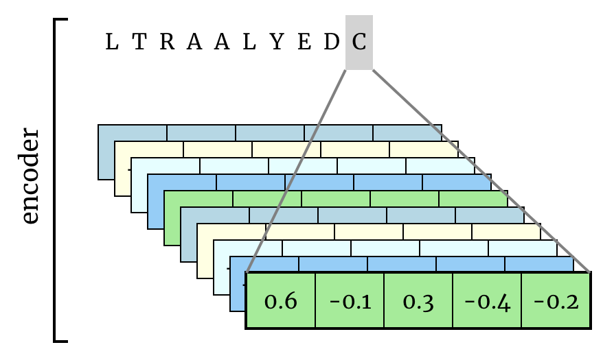 How to represent a protein sequence | Liam's Blog